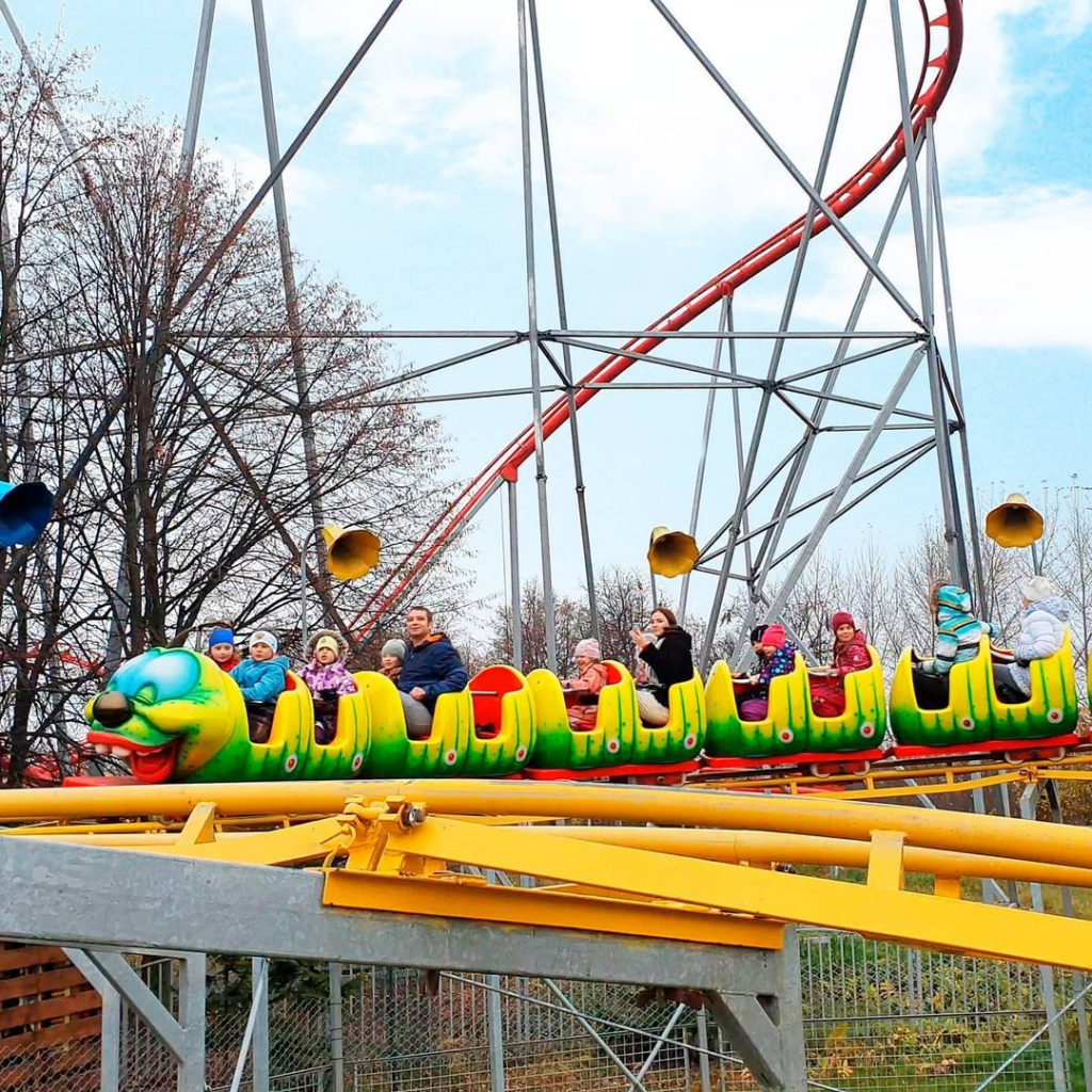 Reasons To Own A Caterpillar Roller Coaster